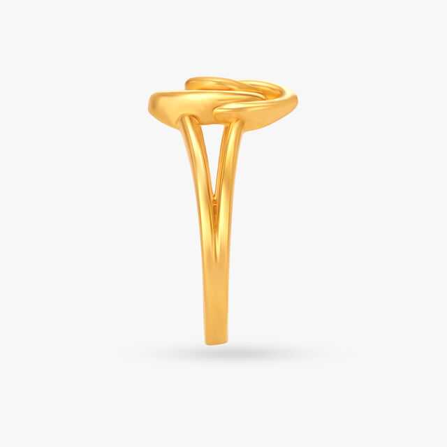 Interconnected Circles Ring