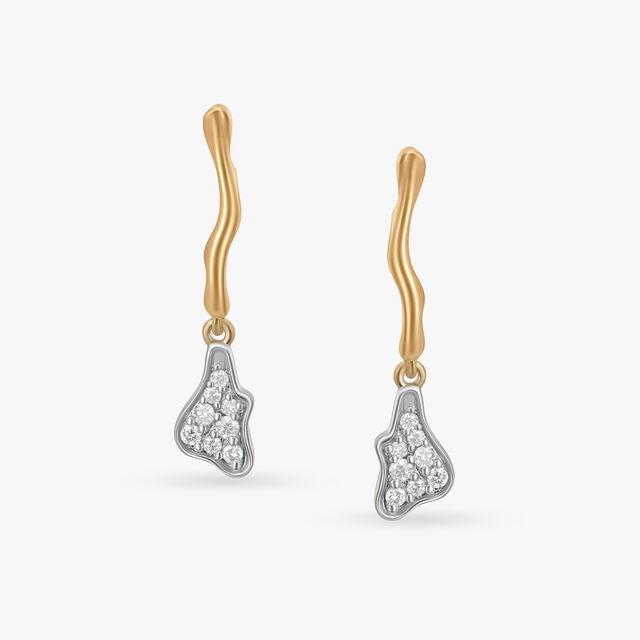 Gleaming Vision Drop Earrings