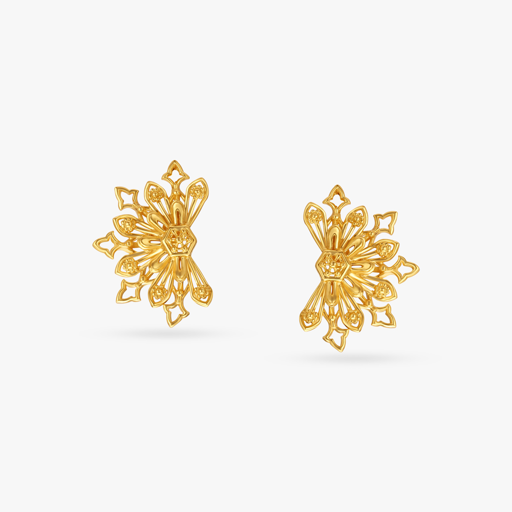 Striking Modular Earrings